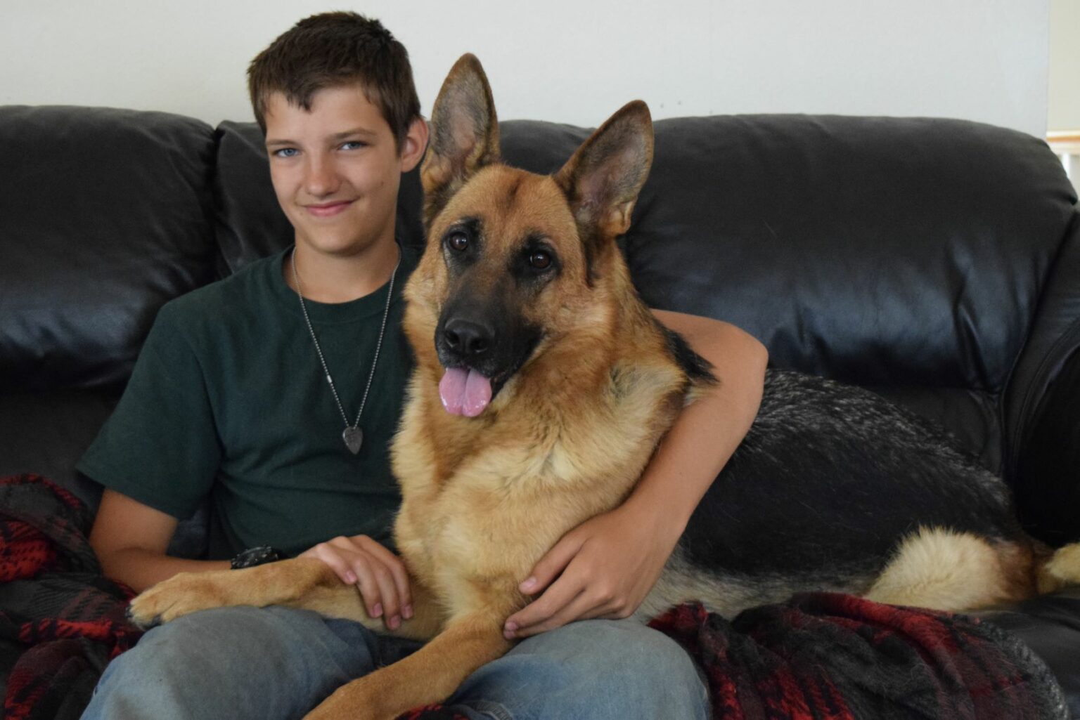 Retired Dogs: – Tiltonhaus German Shepherds