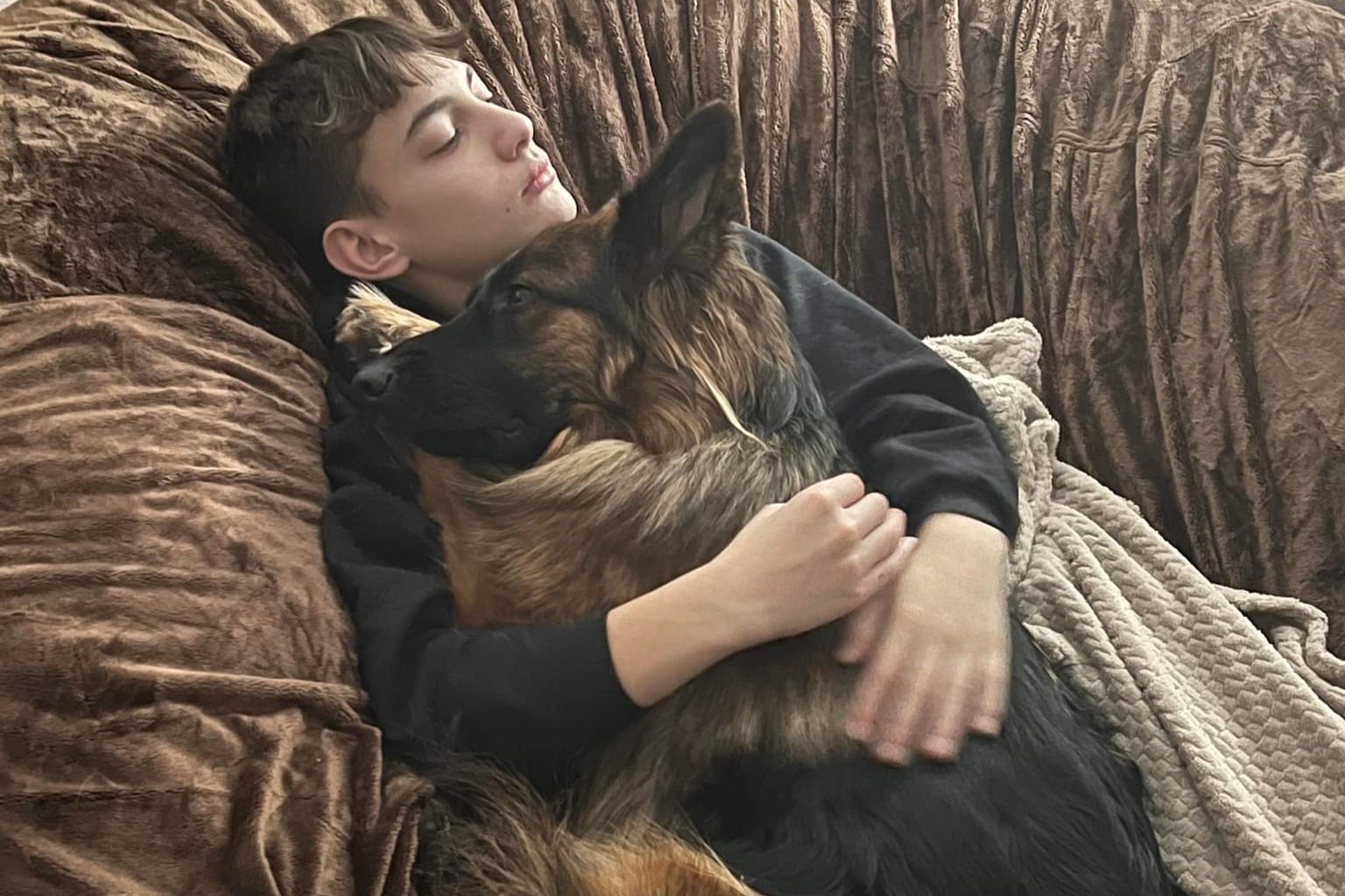 Tiltonhaus German Shepherds – Beautiful, intelligent, obedient, healthy ...